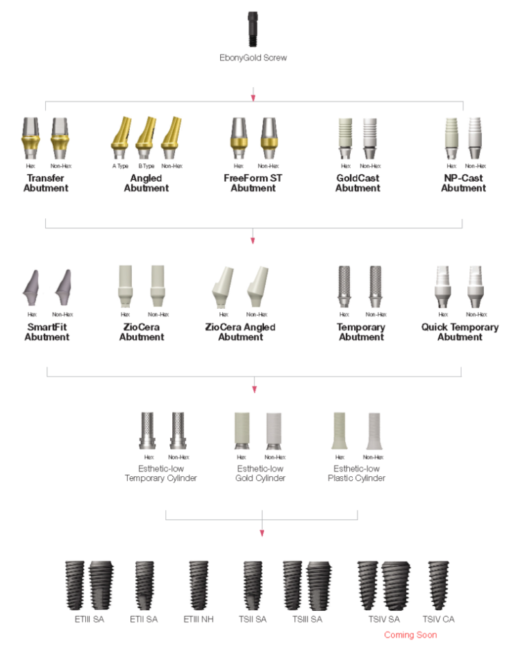 Stock Abutments - Hiossen® Implant